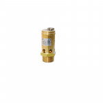 Safety Valve Ring Type - Union