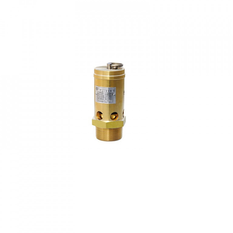 Safety Valve Ring Type - Union